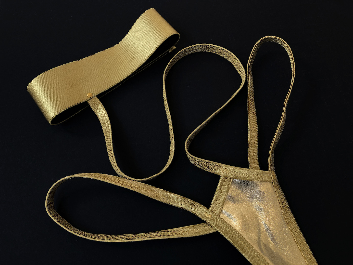 Animal - a Swiss String
